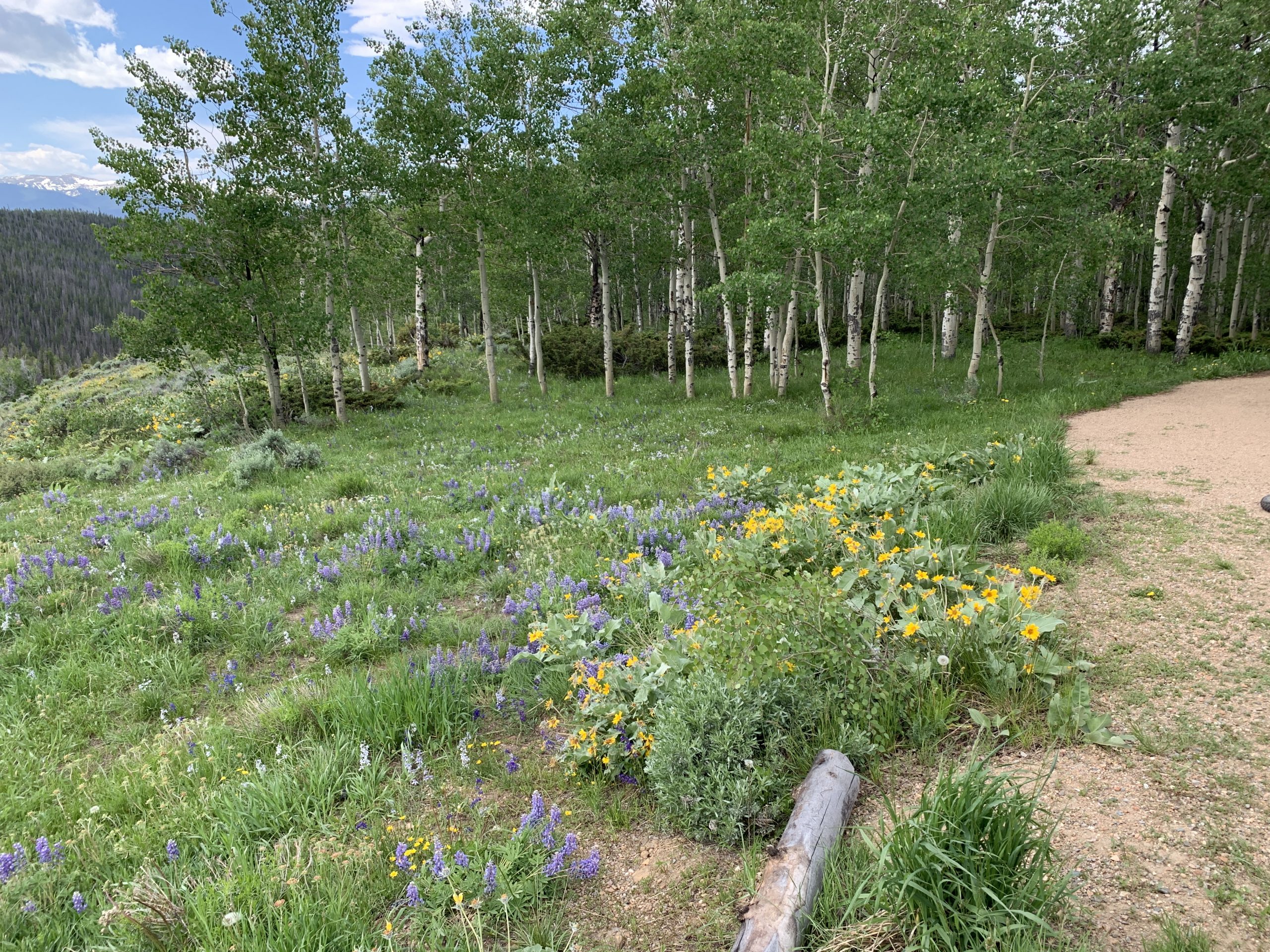 Spring in the Rockies | The Colorado Boys Blog
